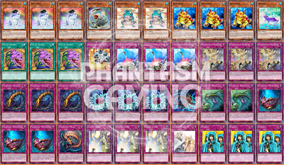 Paleozoic Frog Deck Waboku Dinomischus Pot Desires Dupe Swap Yugioh | eBay