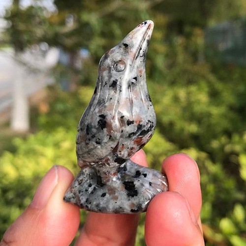 2" Natural Fire Golem engraving crow skull quartz crystal crow healing ...