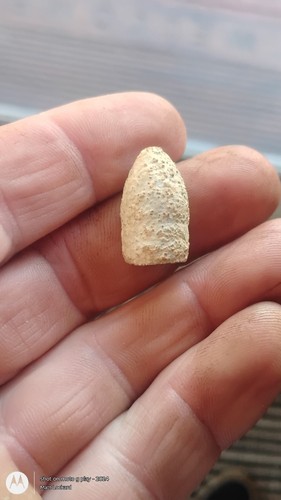 Civil War Picket Bullet M&M 257 | eBay