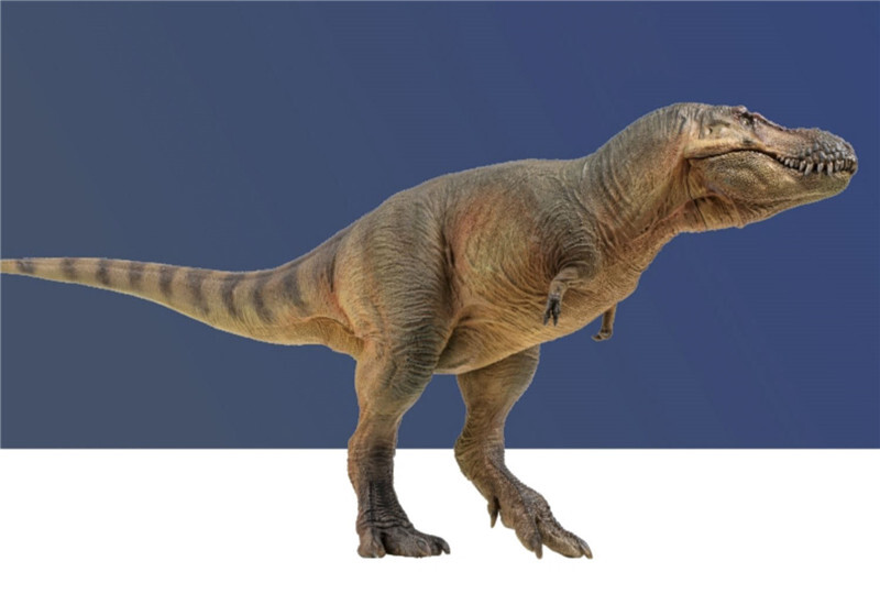 PNSO Zhuchengtyrannus magnus Lu Xiong DINOSAURS SCIENTIFIC ART MODEL | eBay