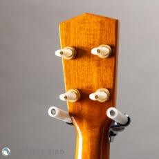 Da Silva Concert Hawaiian Mango Tracking number | eBay