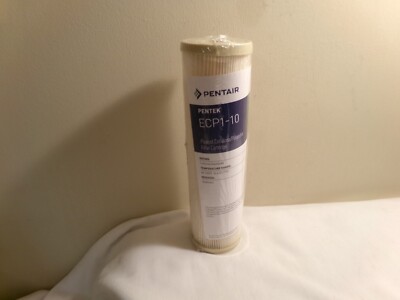 Pentair ECP1-10 Filter | eBay