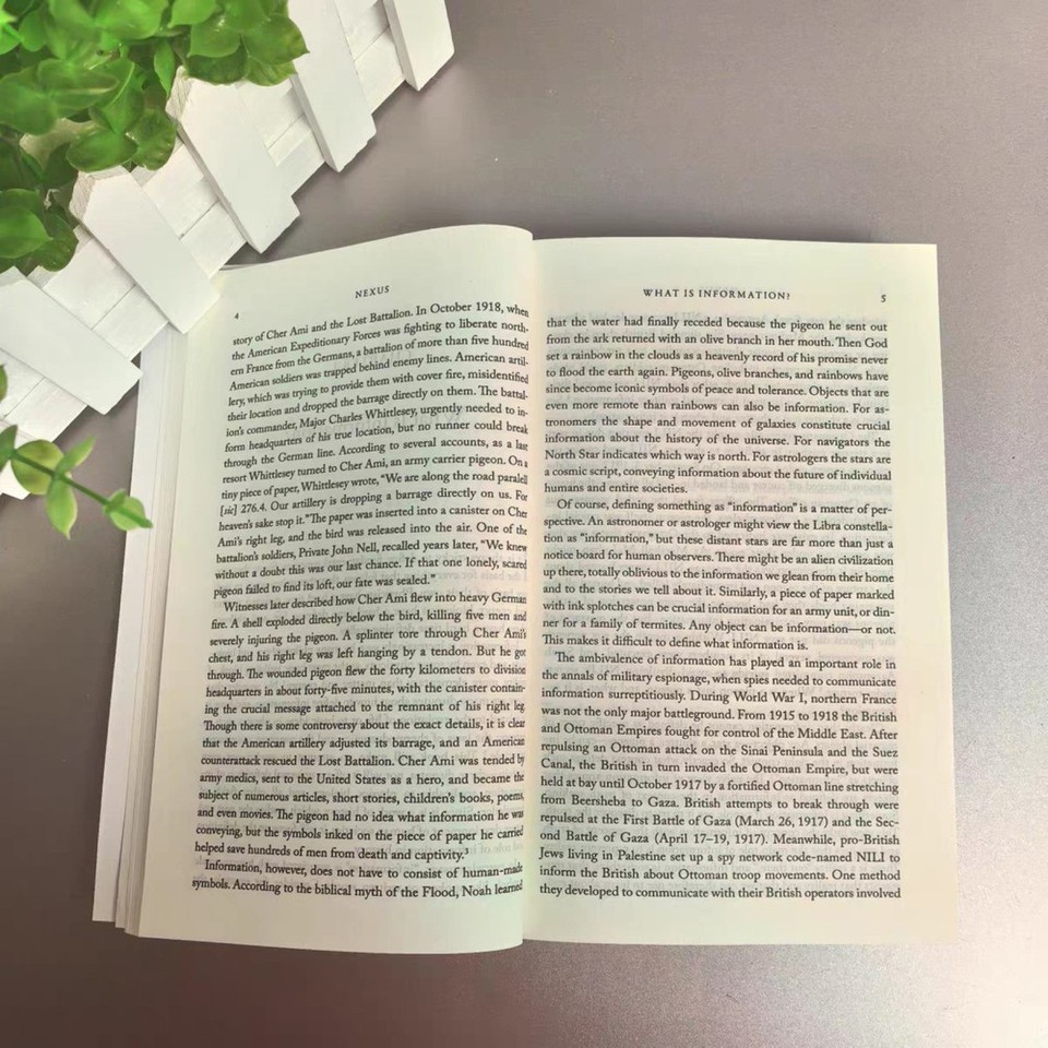 Information Network History Books English Version From Stone Age To AI ...