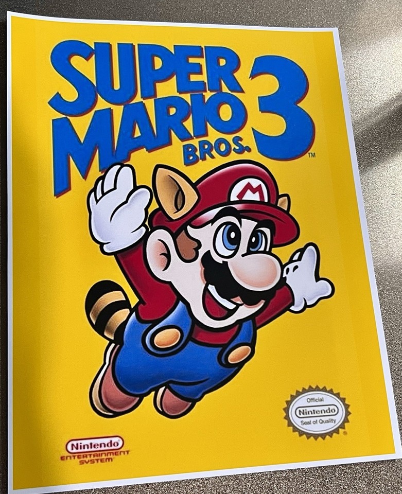Nintendo NES Poster Set – 10 Vintage Posters-8.5 X 11 | eBay