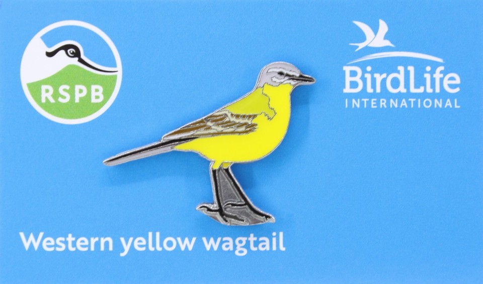 RSPB Pin Badge Bird Life International NIIC Western Yellow Wagtail ...