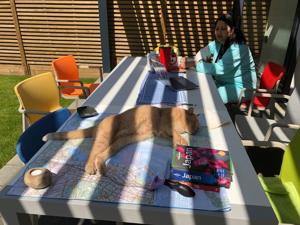 Kristalia Sushi extendable table outdoor + six chairs with covers RRP £ ...