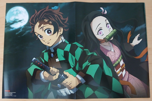 Demon Slayer / Pick Up Girls in a Dungeon (12x17in) vintage/original ...