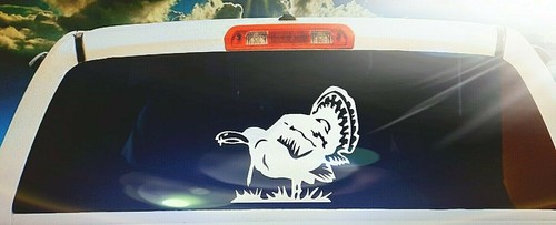 TURKEY STRUT TOM IN GRASS VINYL DECAL STICKER WINDOW Hunting Bird Fowl ...