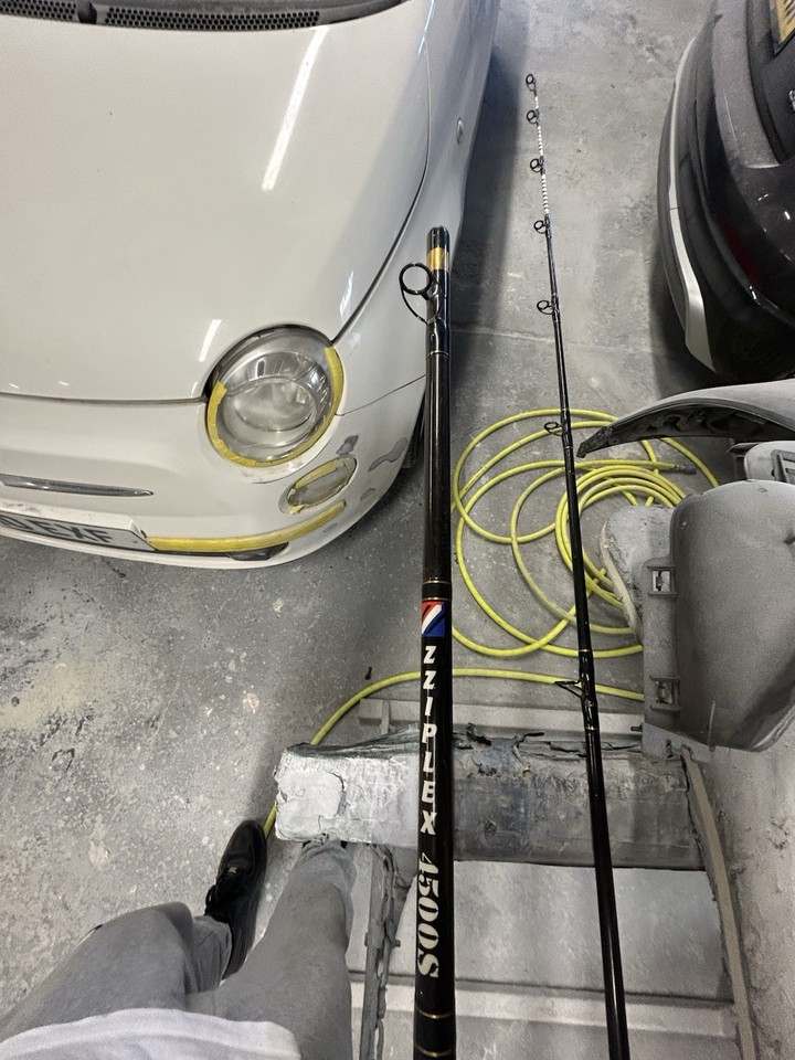 Zziplex 4500S fishing rod. | eBay UK