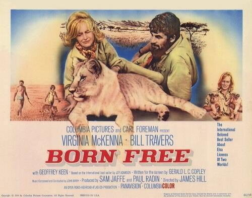 70577 Born Free Movie Virginia McKenna Bill Travers Wall Decor Print ...