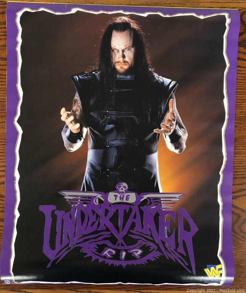 Vintage WWF WWE Poster 16x20 NEW Sunny Shawn Michaels Bret Hart 1997 | eBay