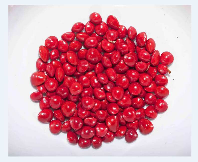 Red Sandalwood seeds (Lal Chandan) Tree Seeds, sandalwood red seeds | eBay