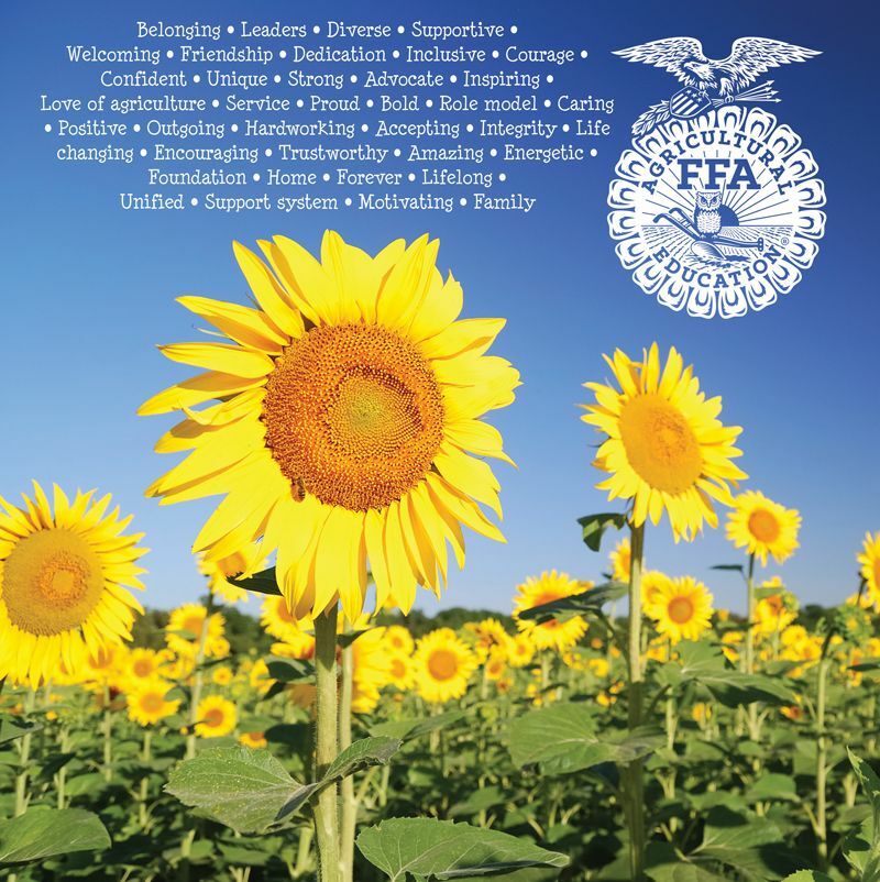 Future Farmers of America FFA Scrapbook Papers CHOOSE FROM 4 items | eBay