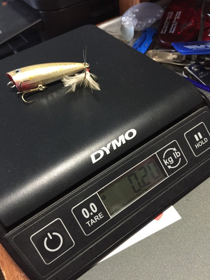 LOBINA LURES RICK CLUNN RICO SURFACE POPPER LURE MADE/JAPAN | eBay