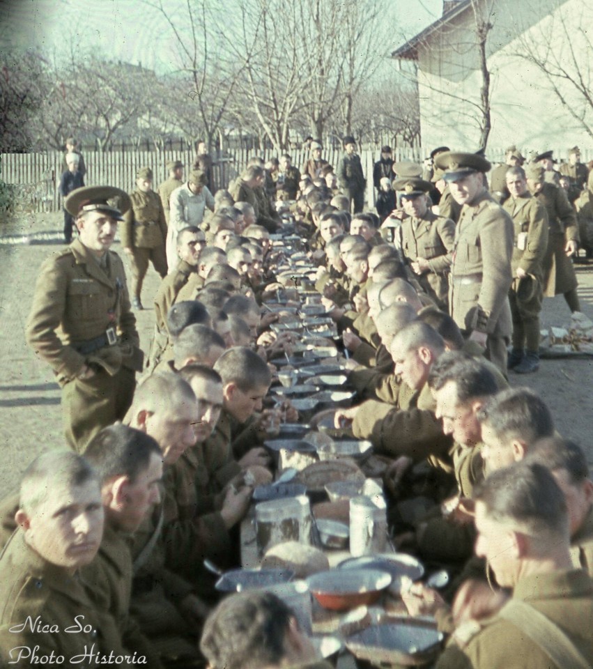 WWII Mess Kit Tin Romania ENAMELLED ww2 Romanian Army Ostfront 2wk ...