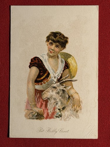 1891 KIMBALL (ATC) N194-HOUSEHOLD PETS-PET BILLY GOAT-X-LARGE CARD-VERY ...