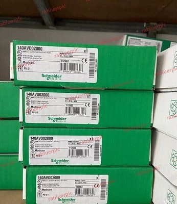 New In Box SCHNEIDER 140AVO02000 Analog Output Module | eBay
