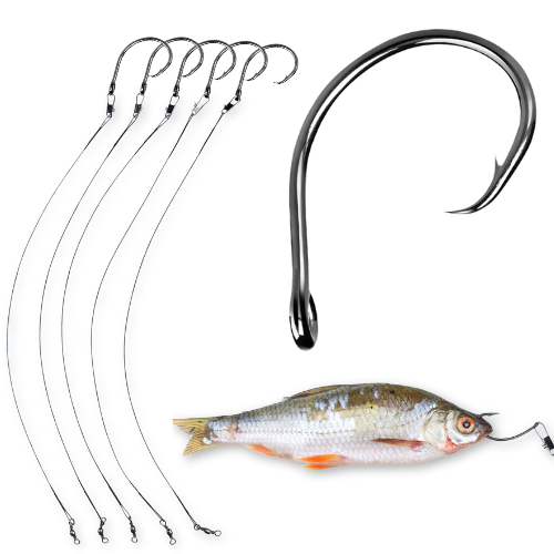 Circle Hooks Pike Deadbait Rigs – 5 Predator Traces for Pike & Zander ...