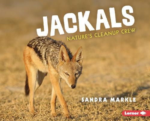 Sandra Markle Jackals (Gebundene Ausgabe) Animal Scavengers in Action ...