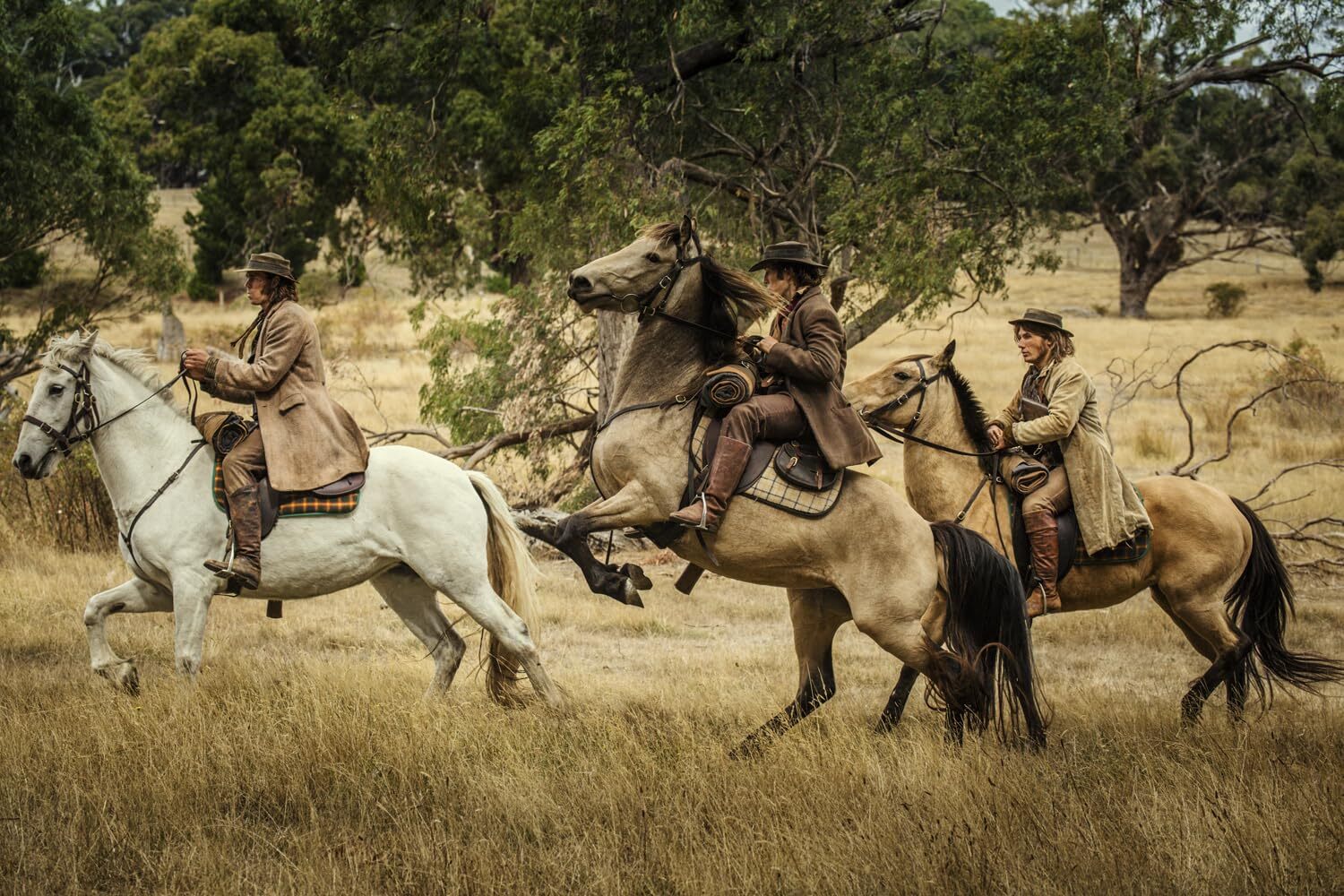 Die Legende des Ben Hall (DVD) Martin Jack Coffa Jamie McAuliffe Callan ...