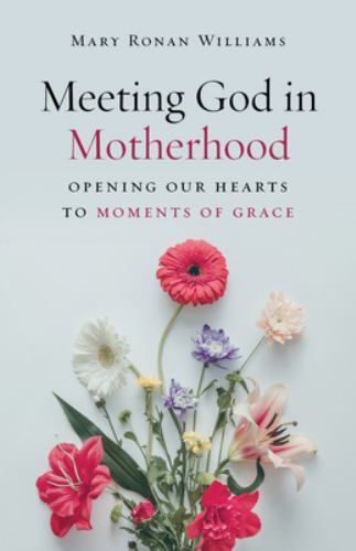 Meeting God in Motherhood: Opening Our- 9781627856034, Ronan-Williams ...