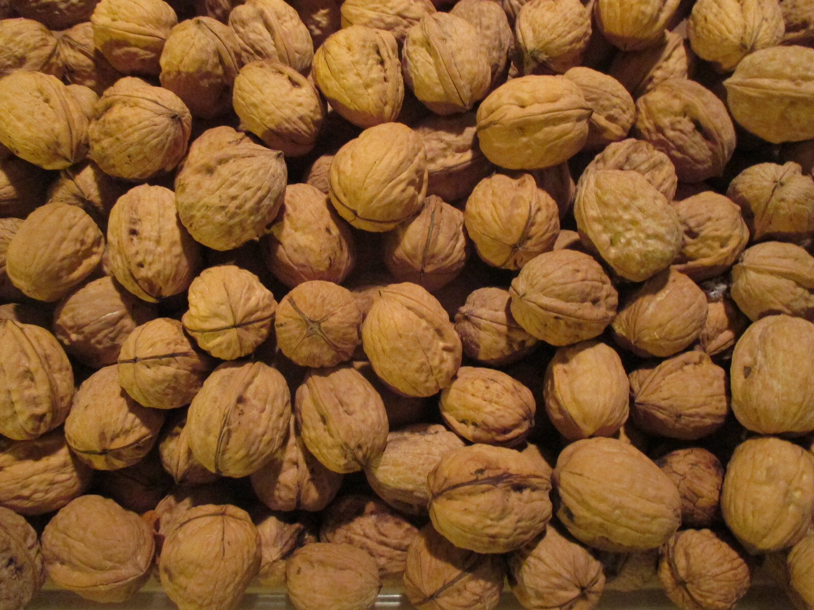 Organic in-shell English Walnuts: 11 lbs, 2023-24 crop, best grade ...