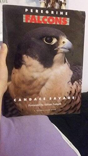 Peregrine Falcons - Hardcover By Candace Savage - GOOD 9780871565044| eBay