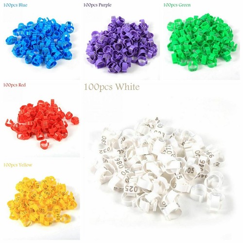 200 Finch or Canary Leg Bands Leg Rings 6 Colors Poultry Goose Leg ...