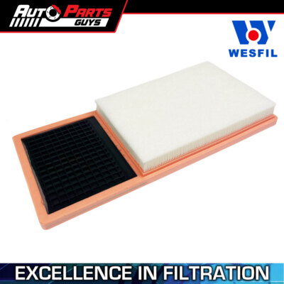 Wesfil Air Filter WA5653 | eBay Australia