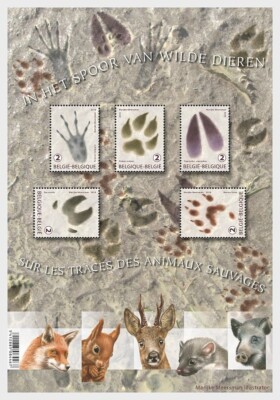 Belgium 2018 Wild animals fox squirrel dear sheetlet mnh us | eBay