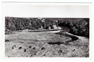 St. Pierre and Miquelon Sc#339(single frank)-ST PIERRE 3/8/1953-REAL ...