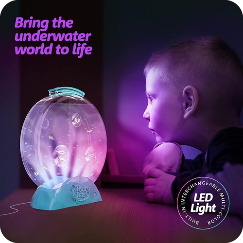 HydroPets Live Sea Pets Habitat Kit - Light Up Tank - Science ...
