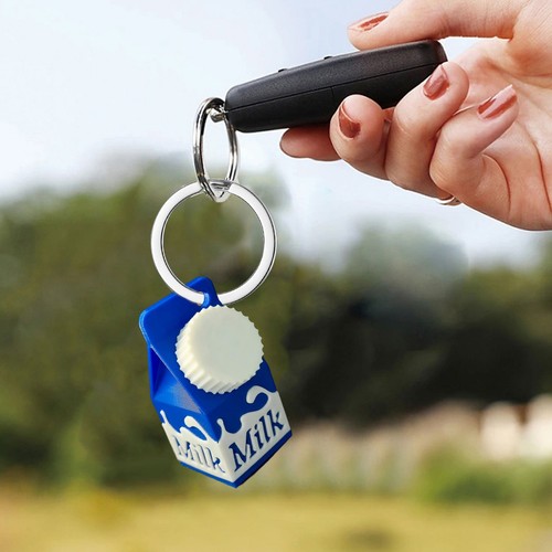 Sturdy Plastic Keychain Accessory Compact Essentials Organizer Mini ...