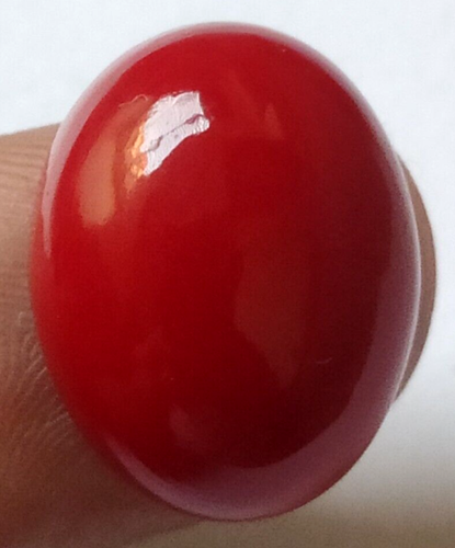 40.80 Ct. Natural Italian Red Coral Oval Cabochon Loose Gemstone Gift ...