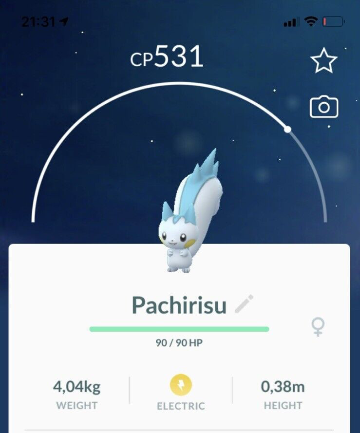 Pachirisu Pokemon Shiny
