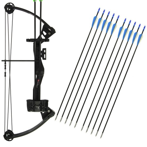 Archery Compound Bow and Arrow Set 25lb - 55lb Shooting Hunting Target ...