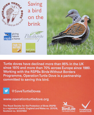 RSPB Pin Badge GNaH Operation Turtle Dove (2015 Release) P00835 | eBay UK