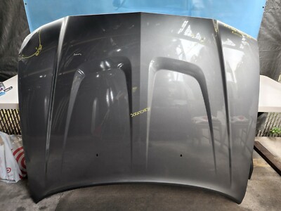 2011 2012 2013 2014 DODGE CHARGER SRT8 HOOD OEM USED | eBay