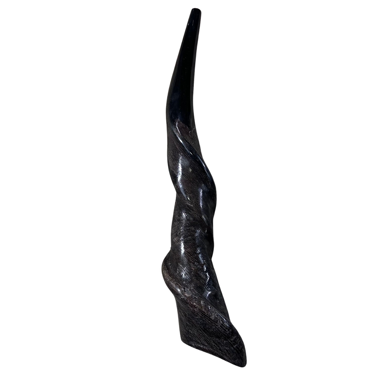 Yemenite Eland Shofar - Semi Polished Kosher-Made Eland Shofar - Approx ...