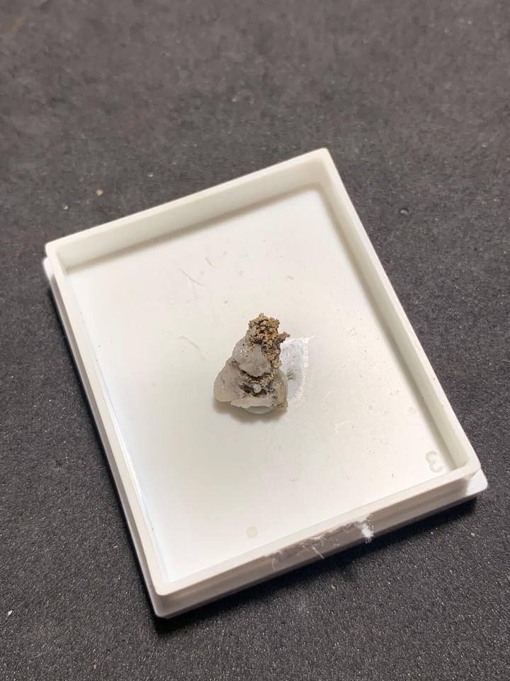 Gold, ged. Gold, Rosia Montana, Rumänien | eBay