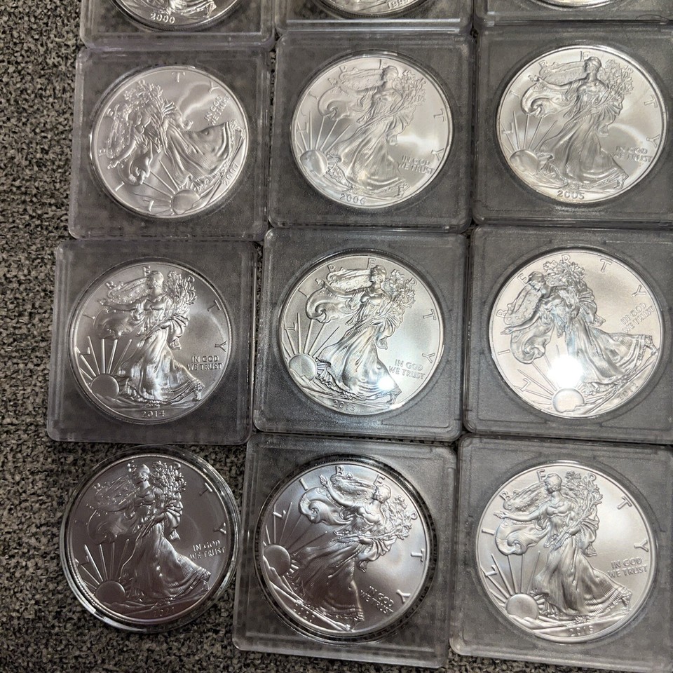 Silver American Eagle Coin Collection Lot | eBay