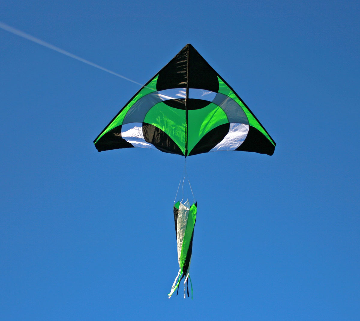 Giant Delta Kites