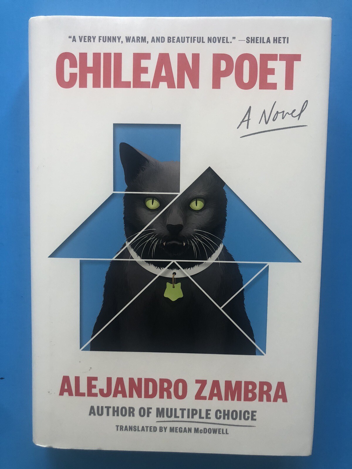 Chilean Poet : A Novel by Alejandro Zambra (2022, Hardcover) for sale ...