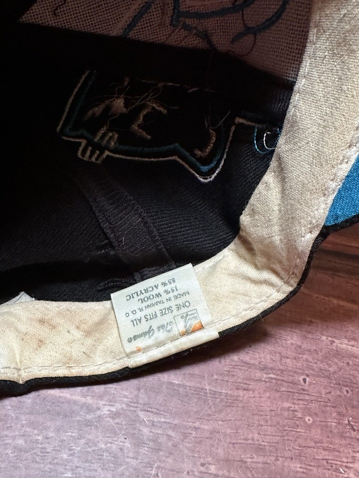 Vintage Carolina Panthers The Game Wool SnapBack Hat 90s Big Logo | eBay