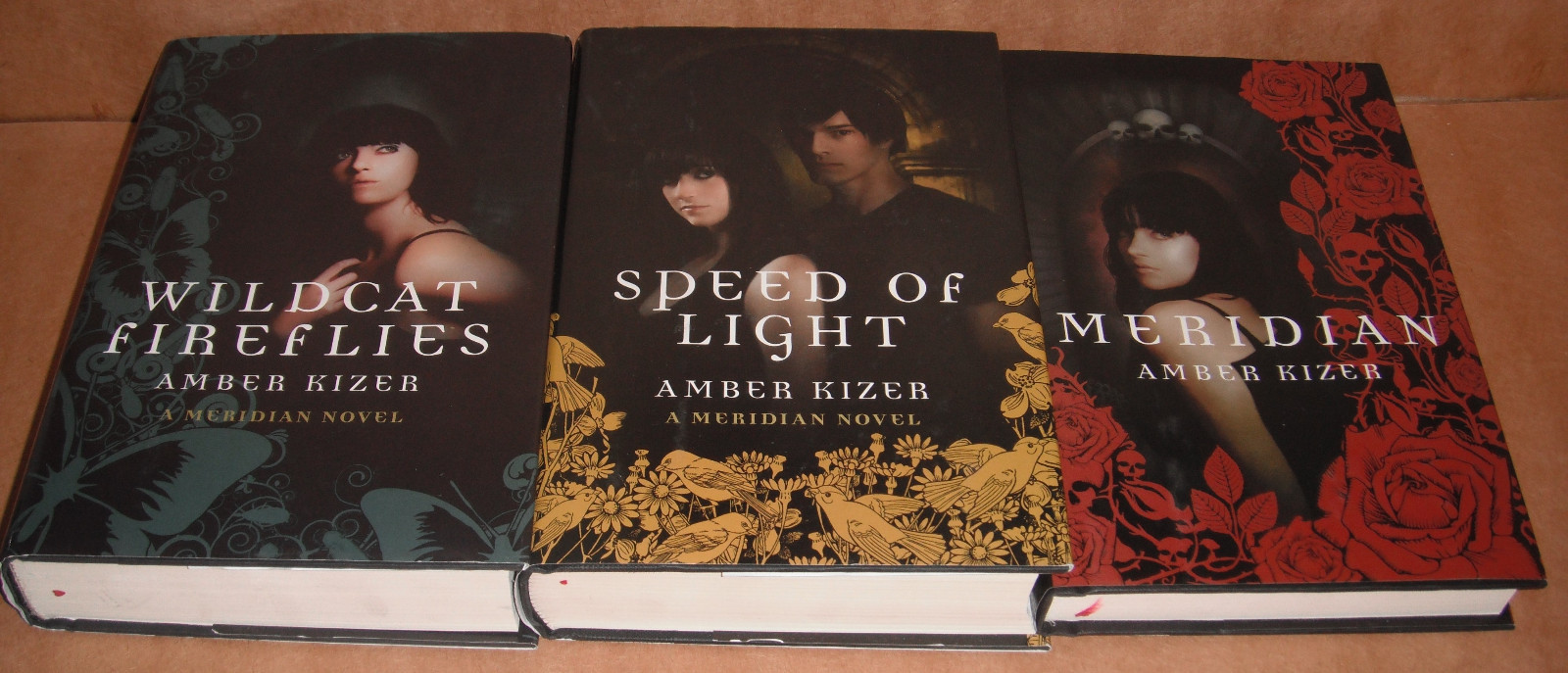 Fenestra Vol.1,2,3 by Amber Kizer Lot - Set Hardcover NEW 9780385736688 ...