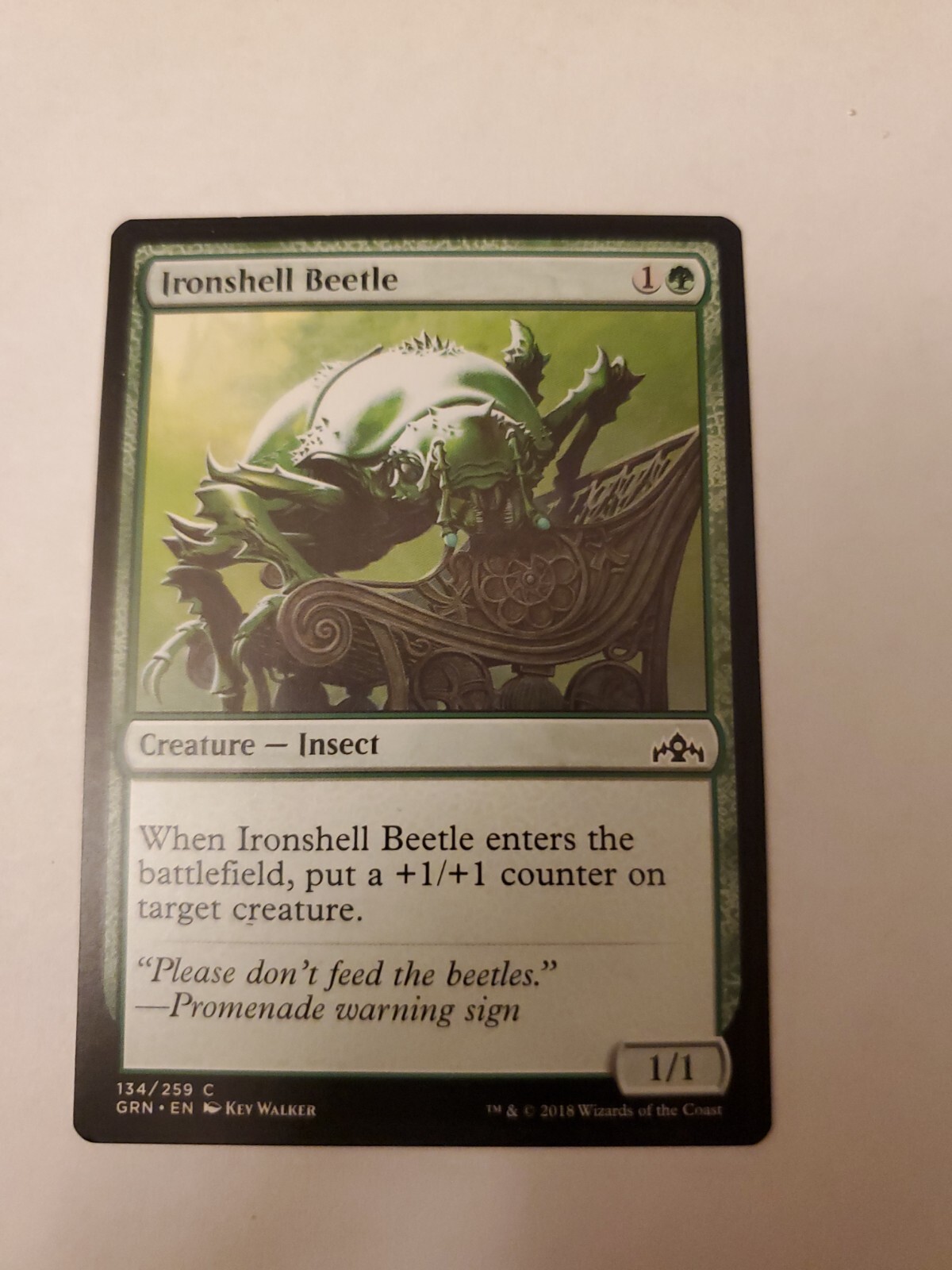 MTG Ironshell Beetle Guilds of Ravnica 134/259 Regular Common for sale ...