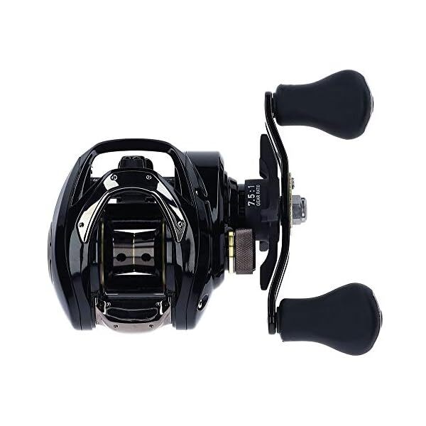 Daiwa 19 Bass X Right Handed Baitcasting Reel New in Box JP | eBay