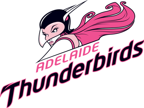 Adelaide thunderbirds netball TEAM POSTER,MELBOURNE VIXENS,Champions ...