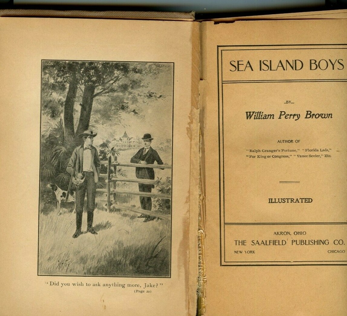 Sea Island Boys by William Perry Brown Ills by W H Fry Vintage HB ...