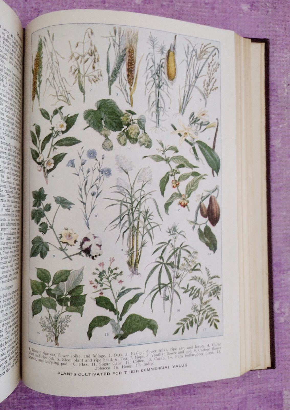 Grolier Encyclopedia Set of 11 Volumes 1944 Vintage Maroon Hardcover ...